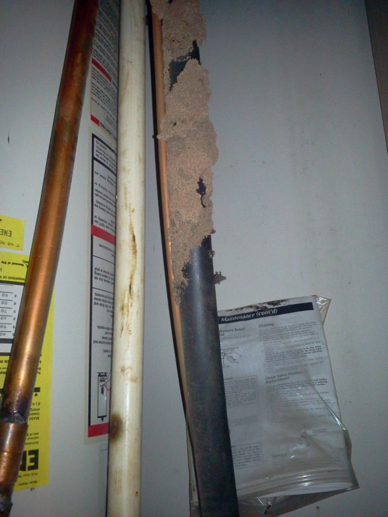 Termite Mud Tubes - Rusty's Bug Stop